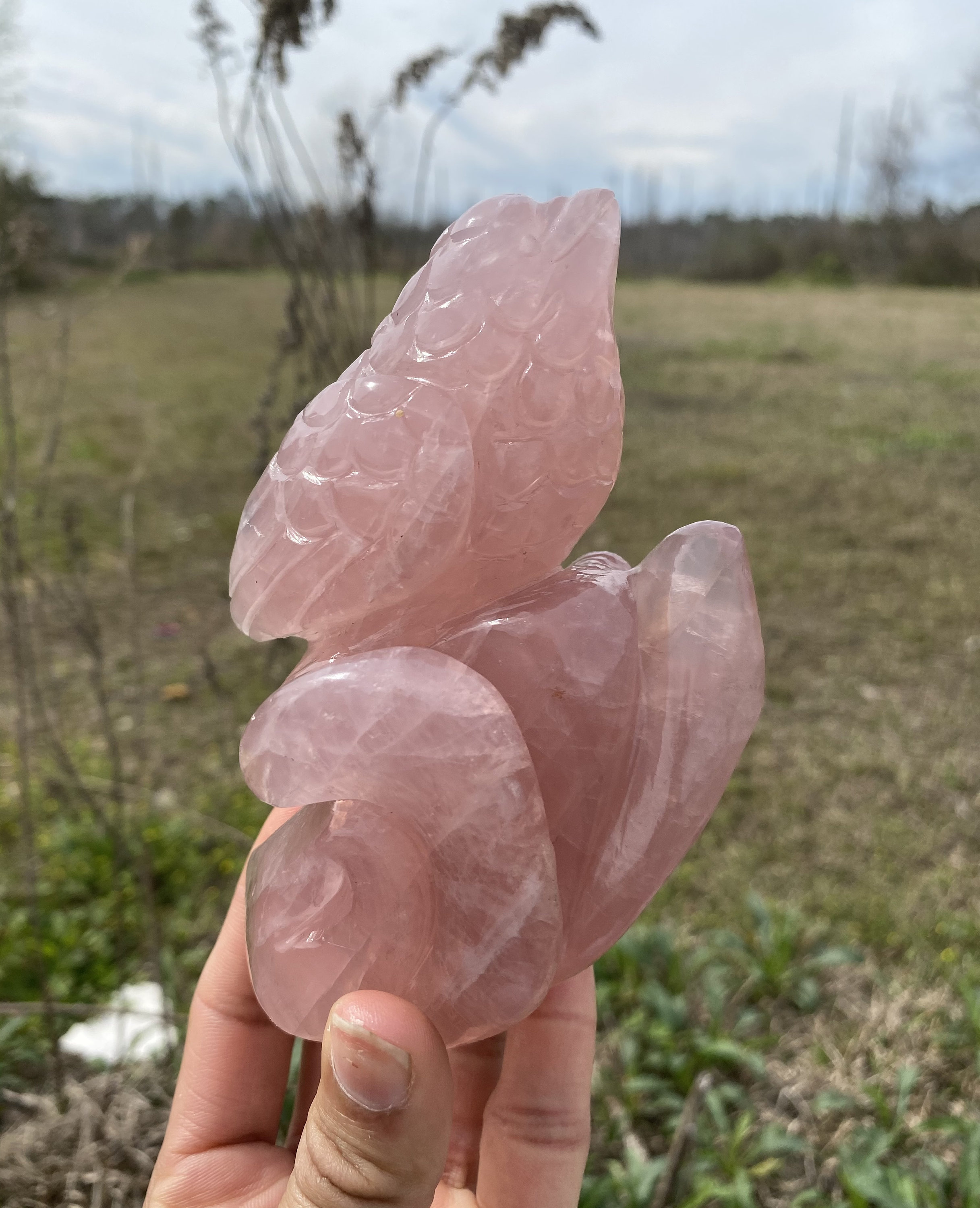Unique Rose Quartz Natural Stone Bird Figurine 574 GMs | Etsy
