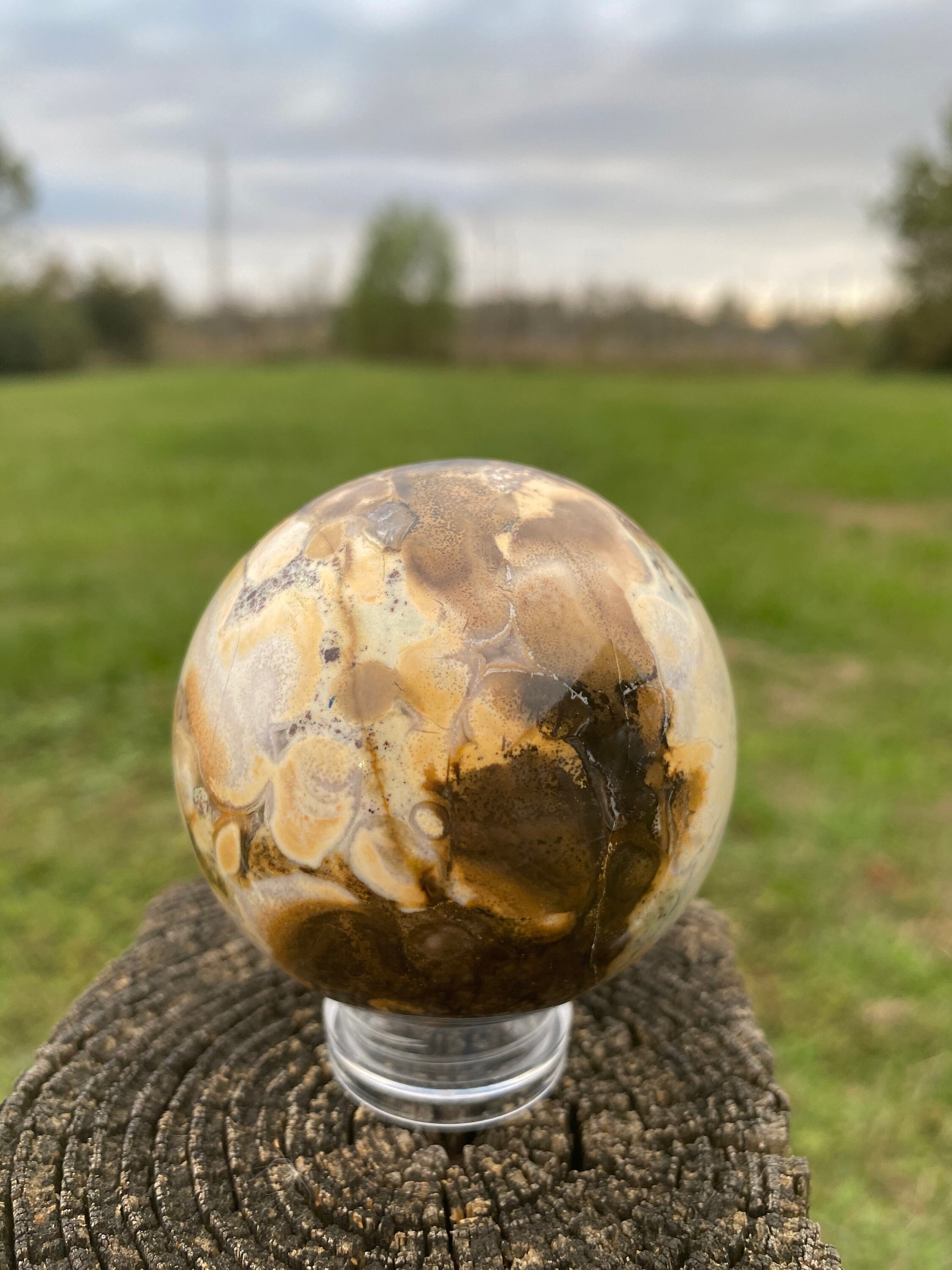 King Cobra Jasper Sphere / Crystal Sphere / Healing Reiki / - Etsy