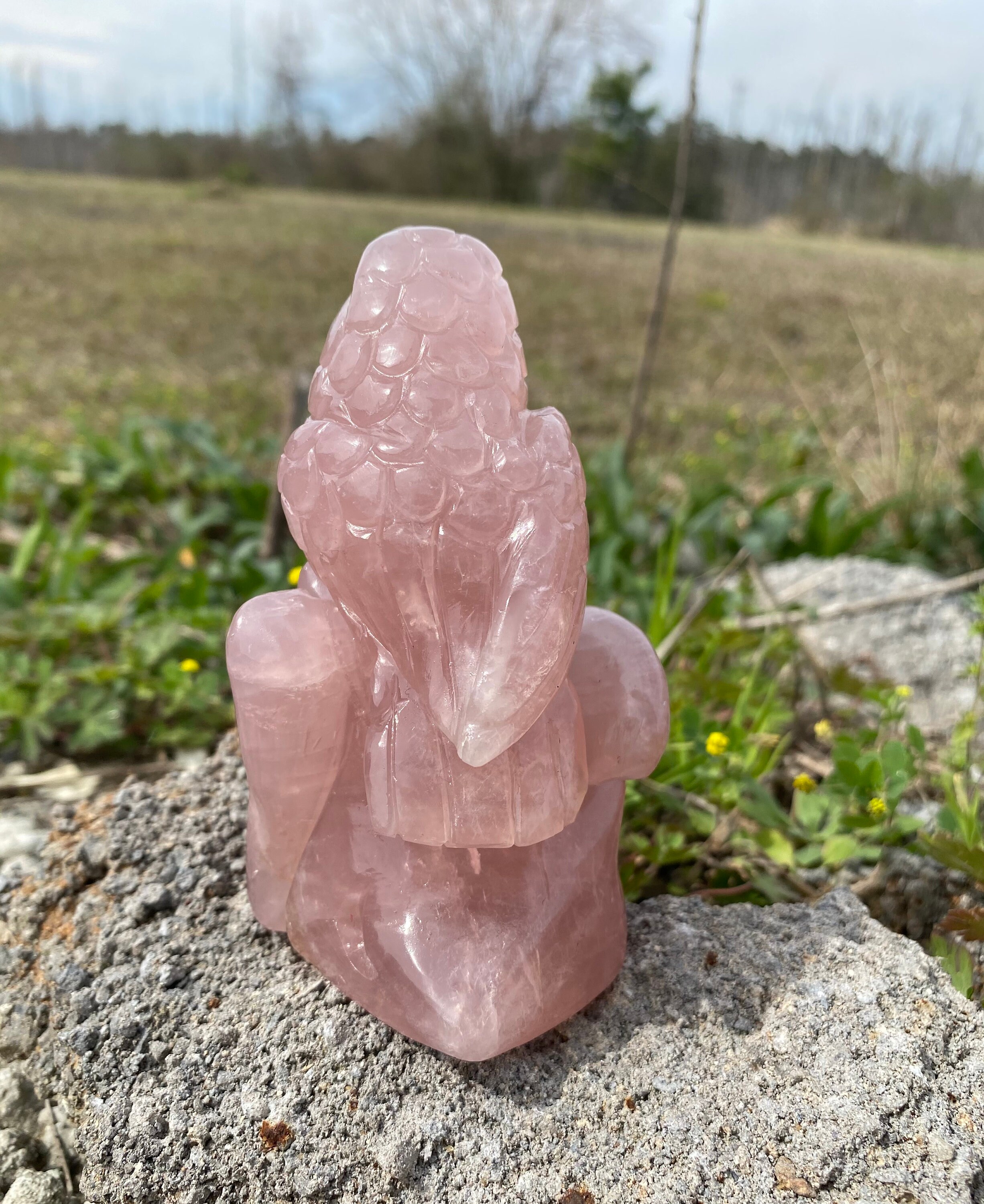 Unique Rose Quartz Natural Stone Bird Figurine - 574 Gms - Etsy