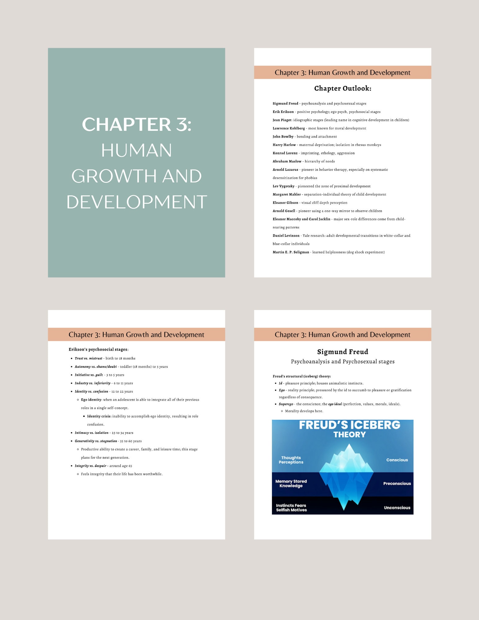 Full National Counselor Examination (NCE) Study Guide | 243 Pages ...