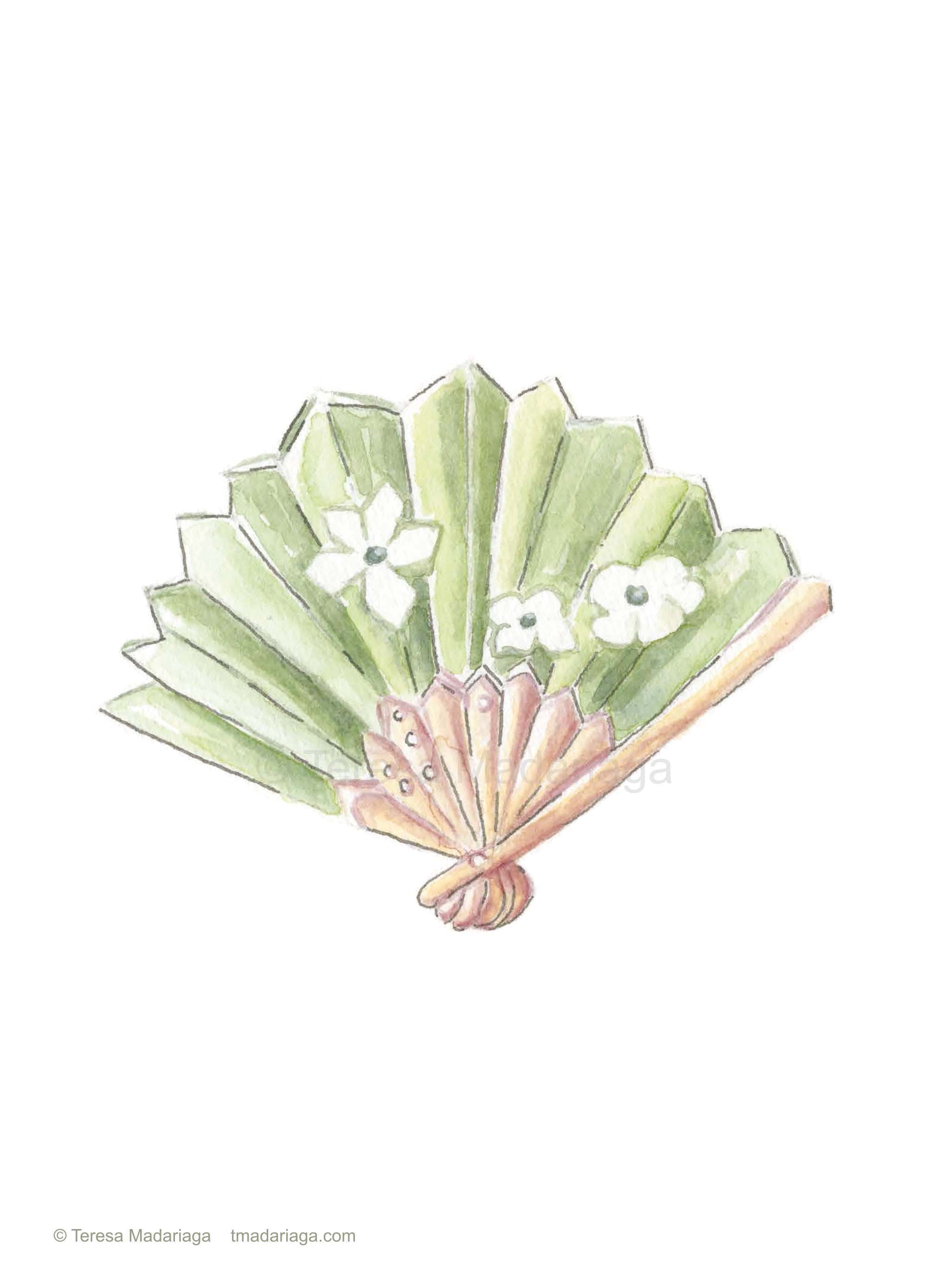 Sensu Fan of Japan - Etsy