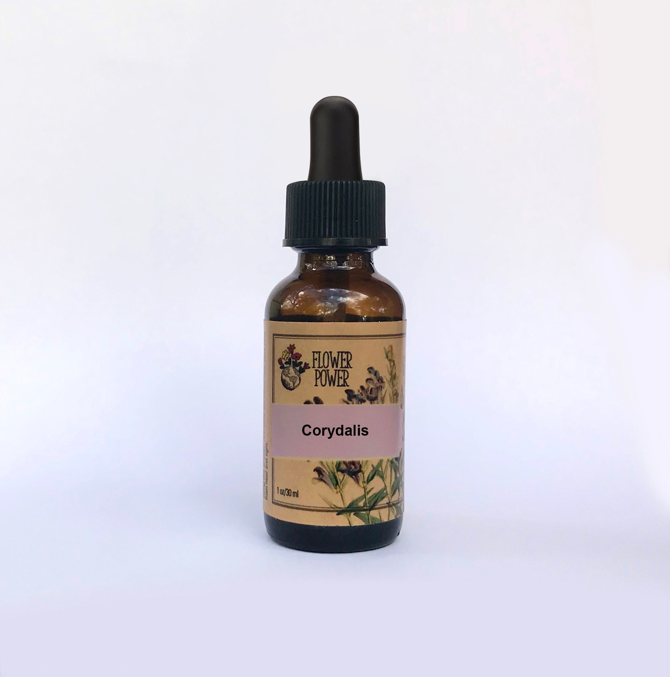 Corydalis Root - Etsy