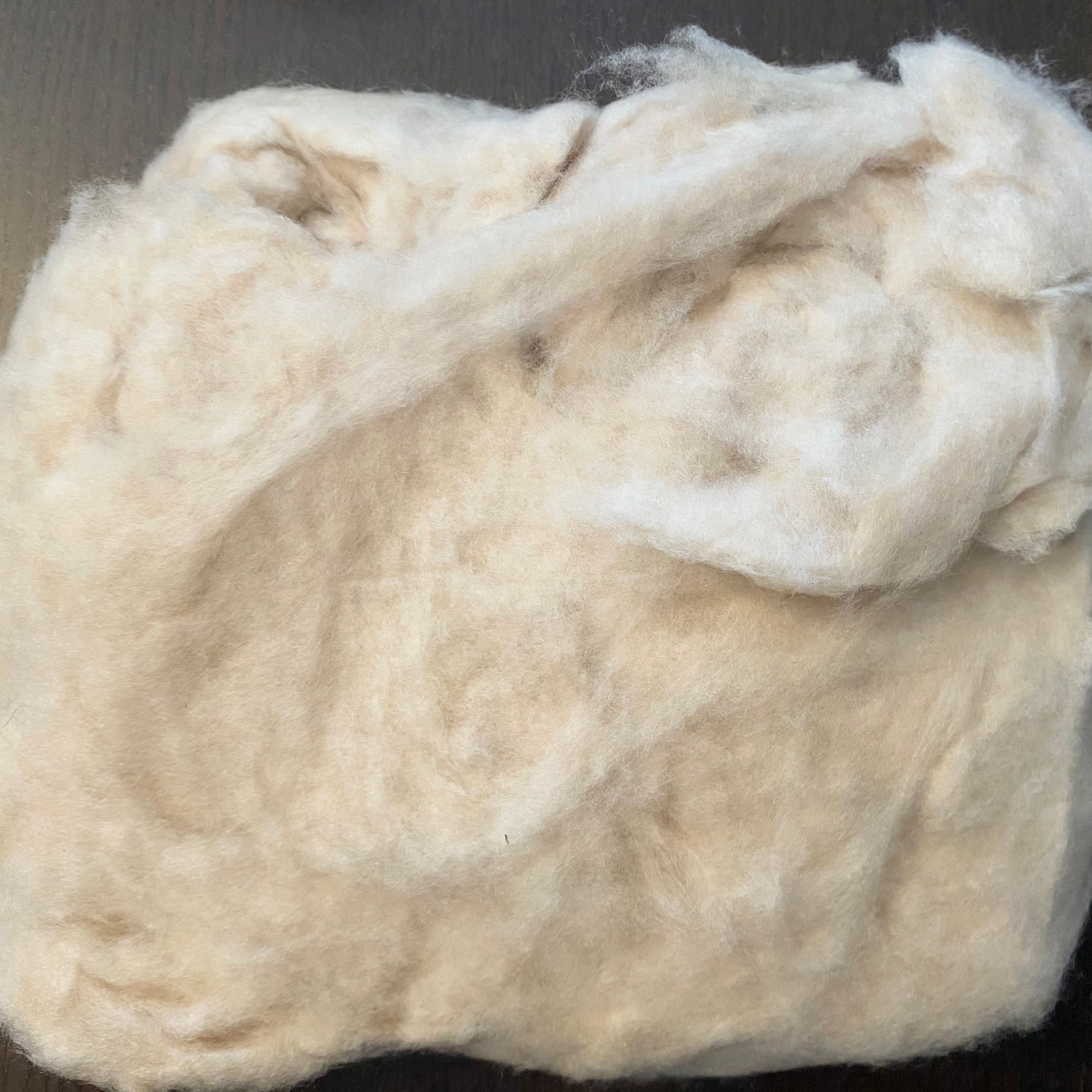 3oz 100% auténtica fibra de cachemira premium mongola para | Etsy