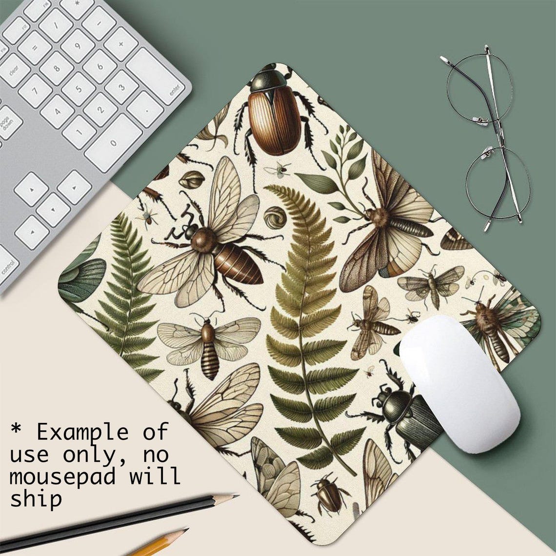 Botanical Moth Seamless Pattern, Beetles, Butterflies, Vintage Digital ...