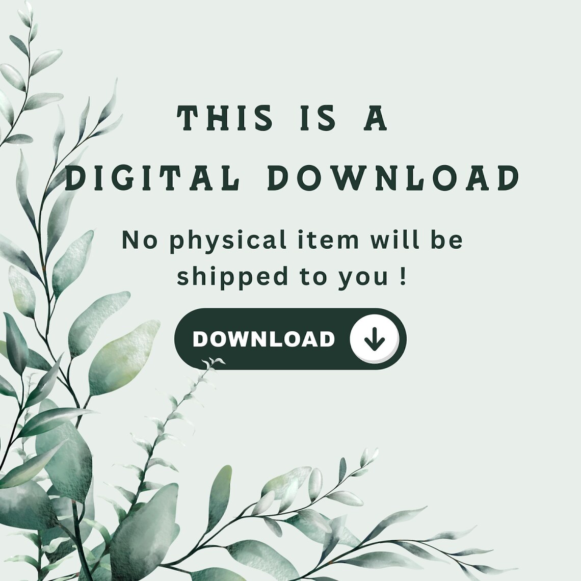 Botanical Moth Seamless Pattern, Beetles, Butterflies, Vintage Digital ...