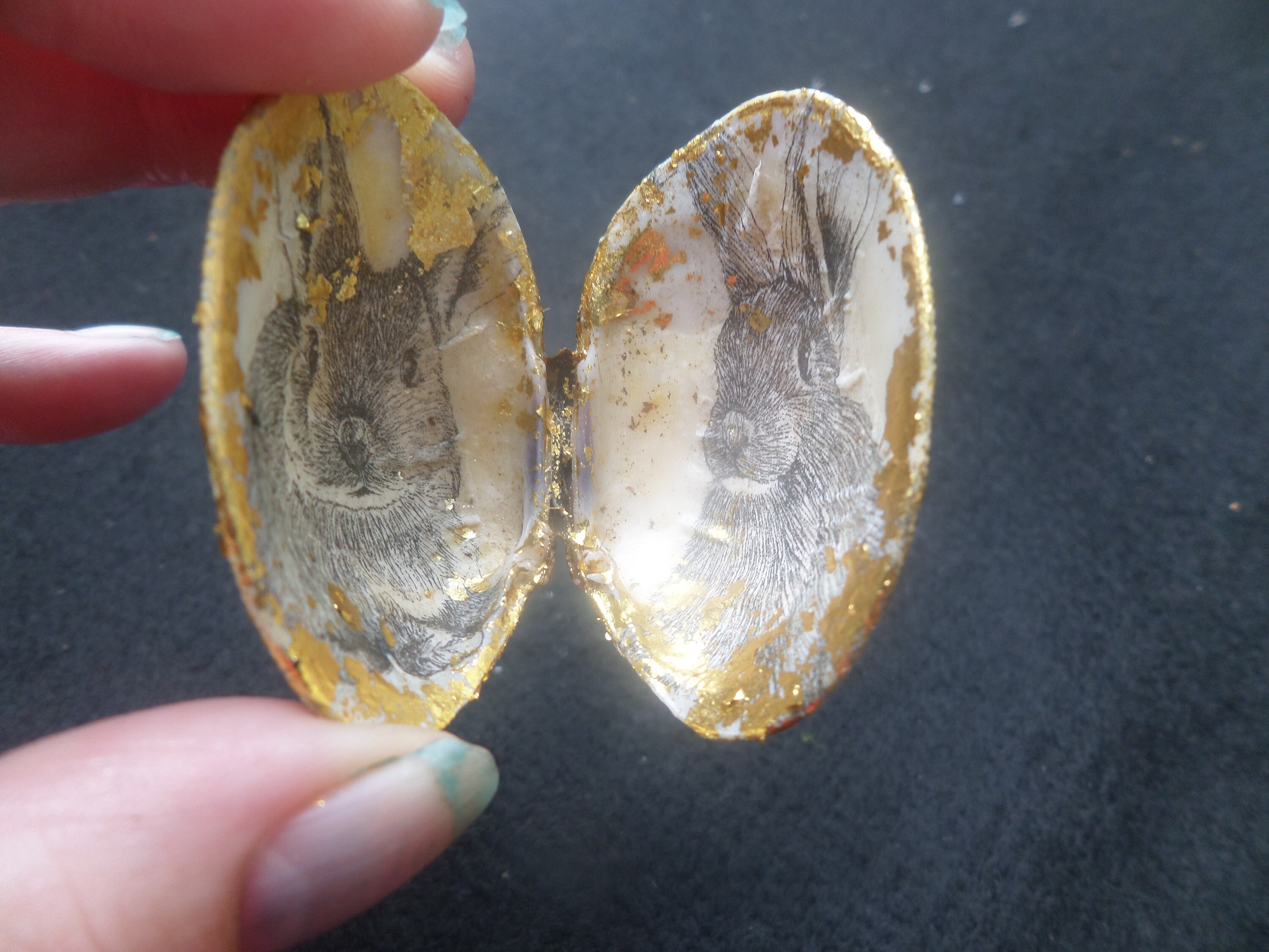 Easy To Draw Open Clam Shells