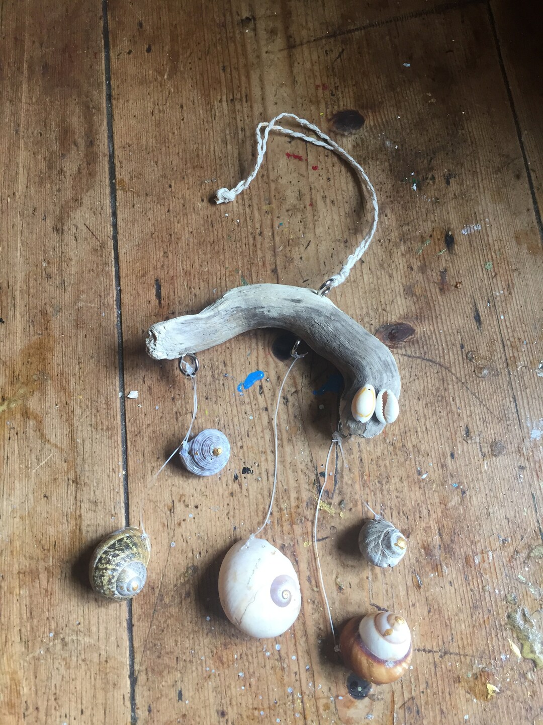 Mollusc Shell Wind Chime - Etsy