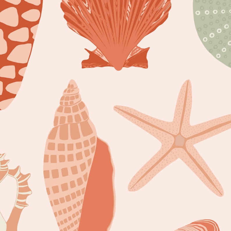 Sea Shells Print / Beach Print / Under the Sea Print / - Etsy