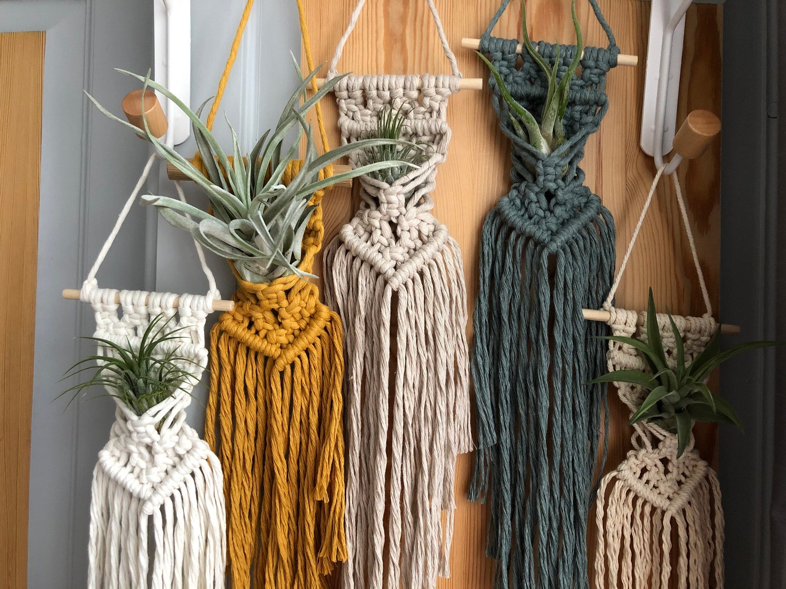 Macrame air plant holder/hanger | Etsy