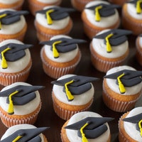 Edible Graduation Cake Topper - Etsy