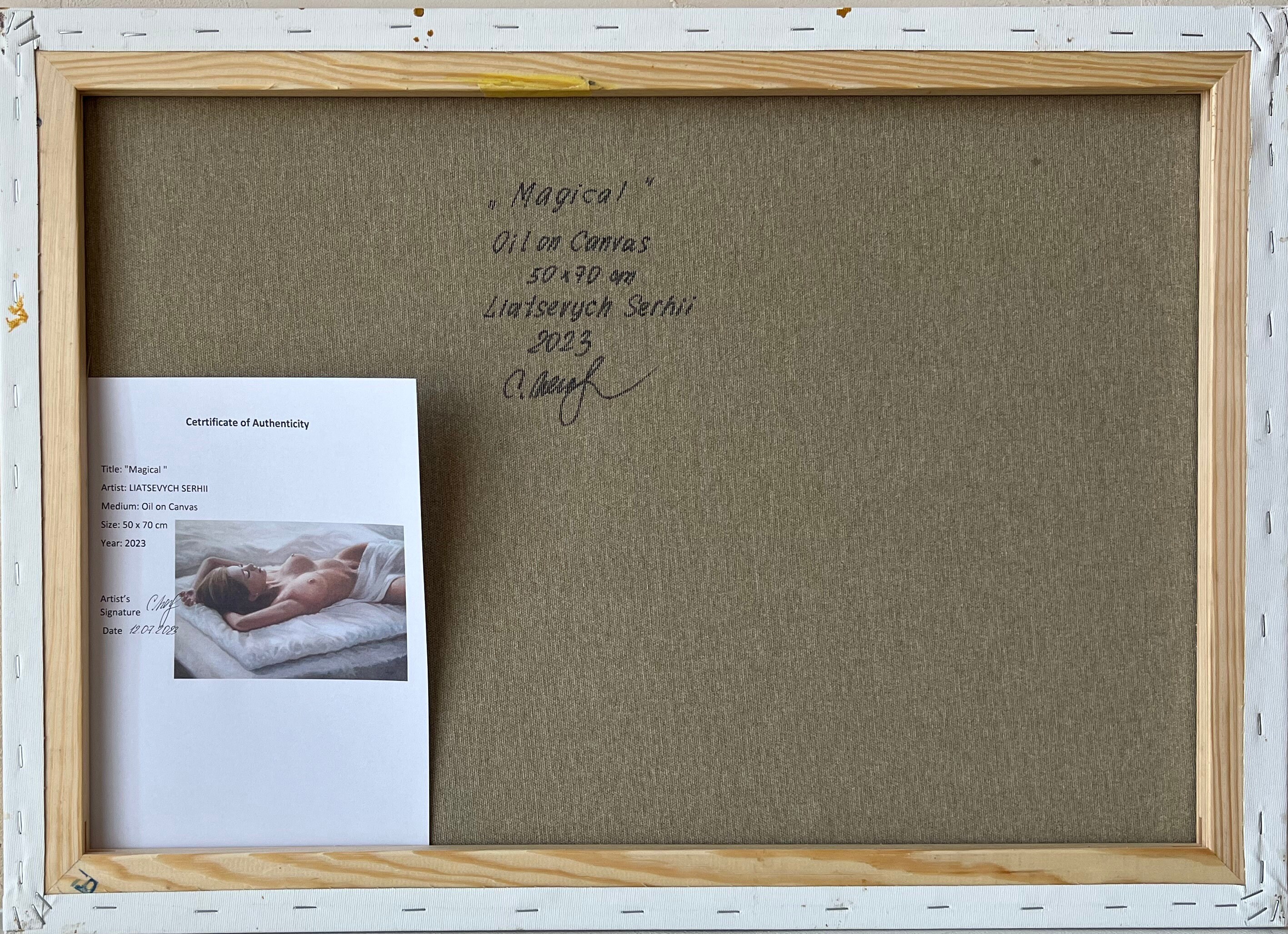 2023 Oil on Canvas 50 X 70 Cm Original. Sergiy Lyacevitch - Etsy