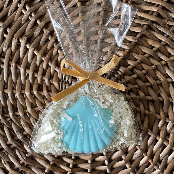 Seashell Favors - Etsy