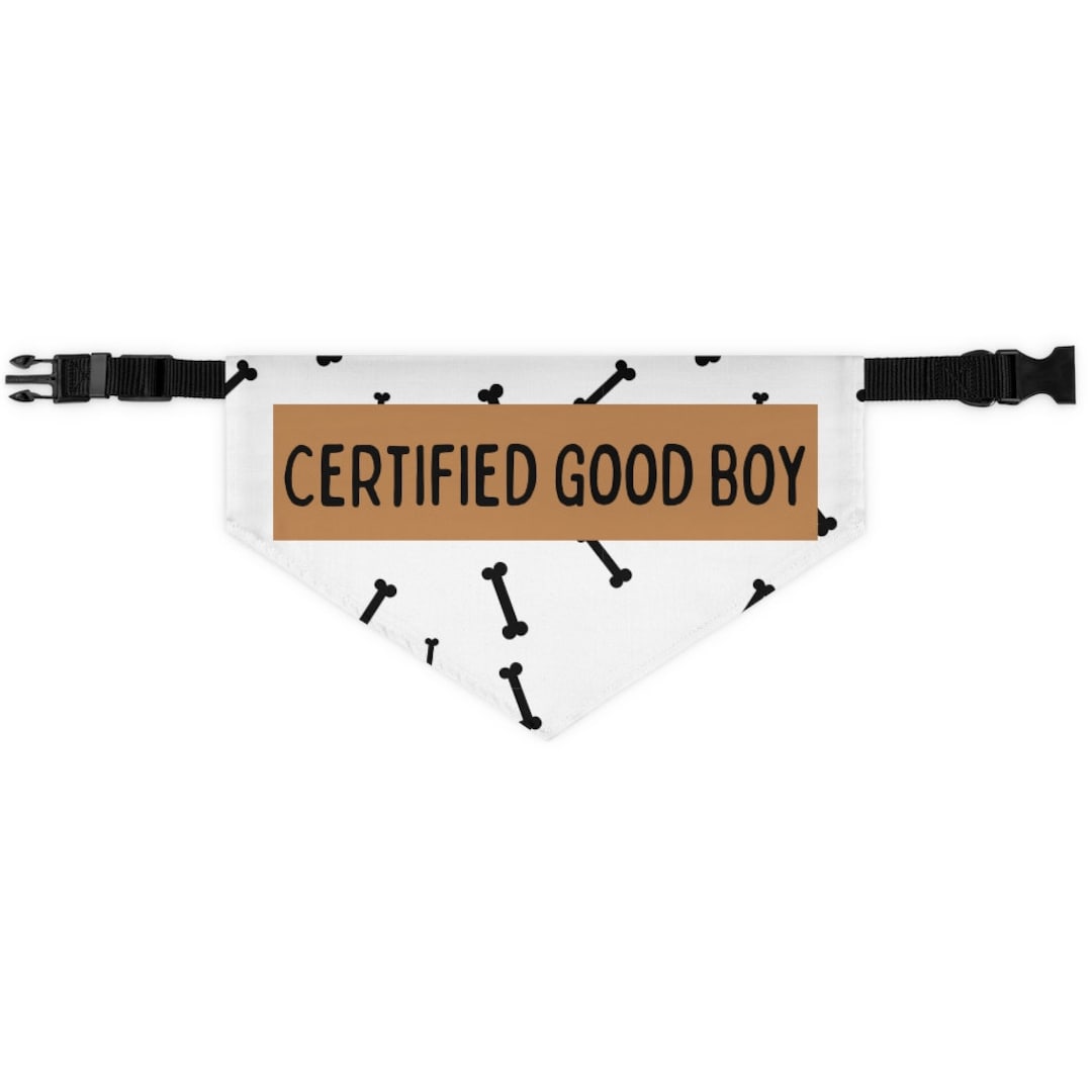Certified Good Boy Pet Bandana Collar - Etsy