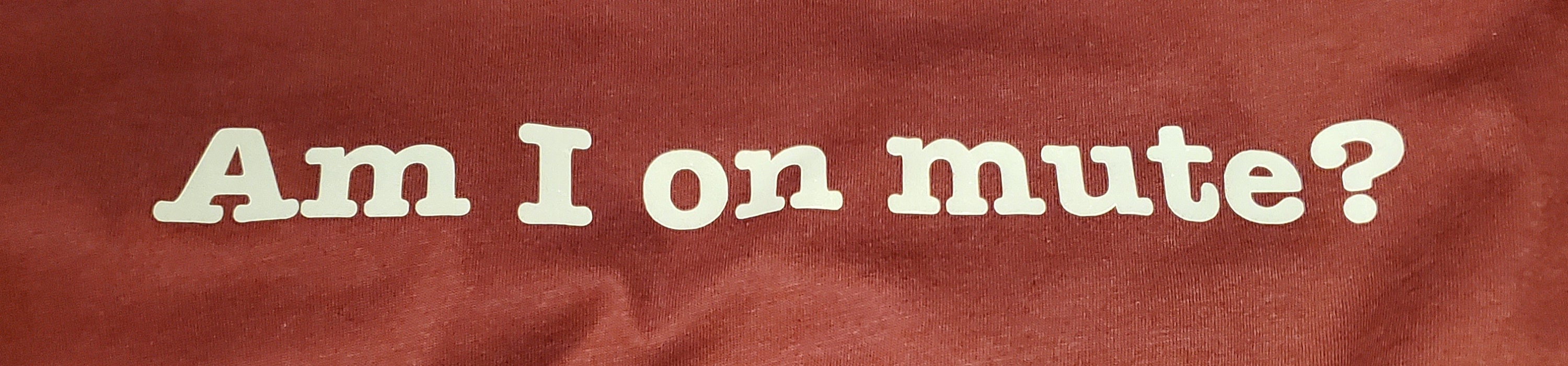 Am I on Mute? & You're on Mute - TWO SHIRTS - Etsy UK