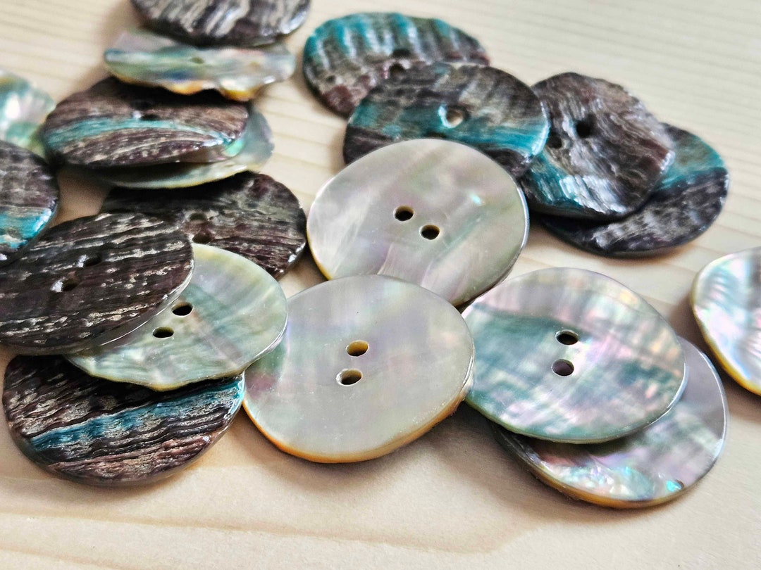 2-HOLE ABALONE Seashell Buttons / 10-25mm / MOP Shell Buttons / Sewing ...