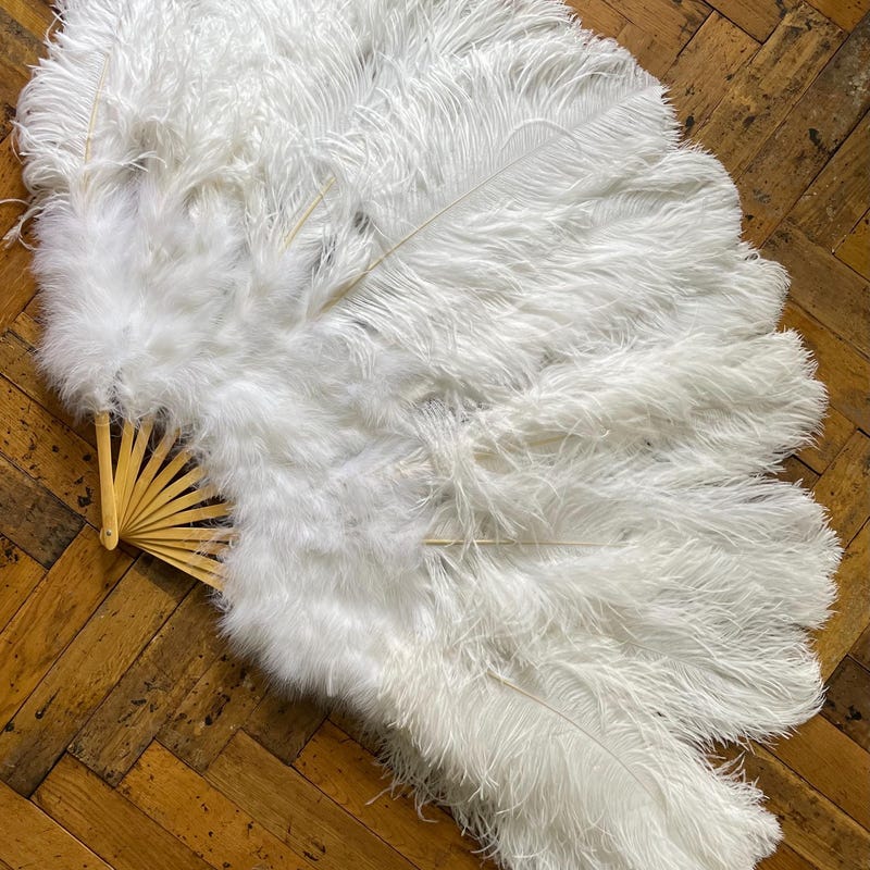 Ostrich Feathers Fans - Etsy