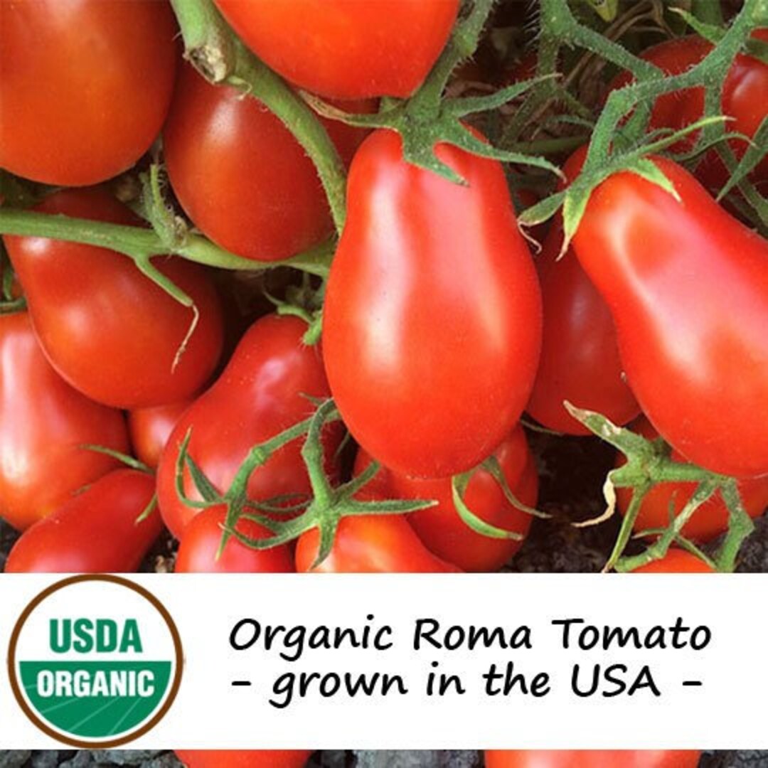 30 Organic Italian Roma Tomato Vegetable Seeds - Etsy