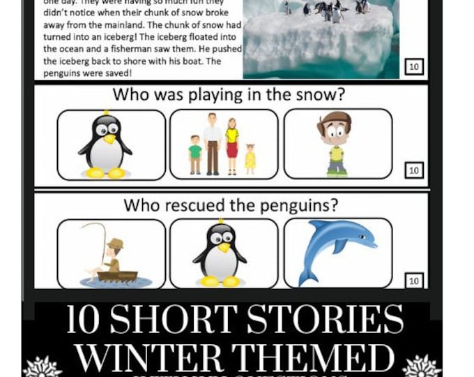 Winter Themed 10 Short Stories With WH Questions and Visuals Answers - Etsy
