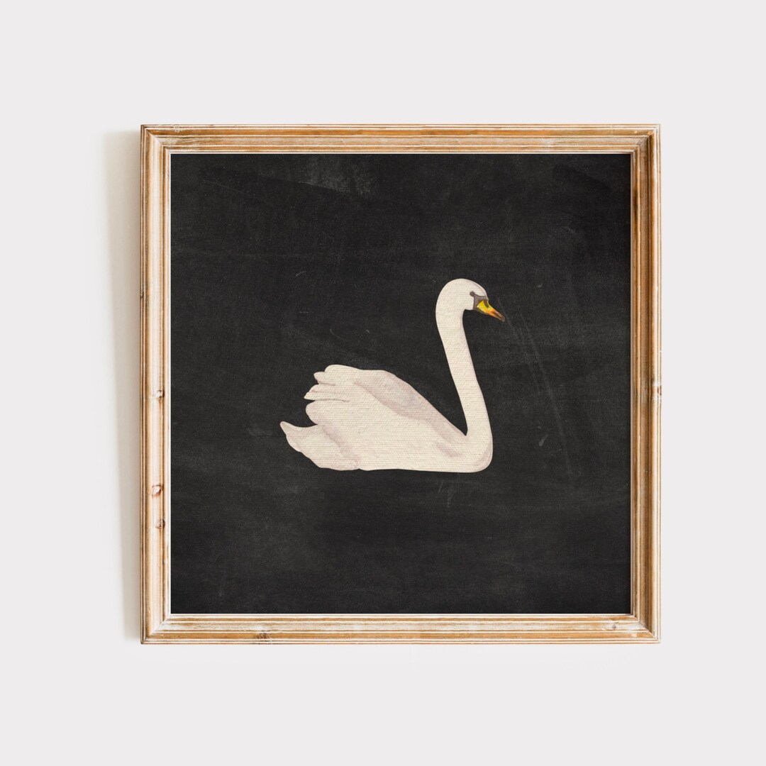 Black Swan Print Abstract Painting, Digital Downloadable Wall Art ...