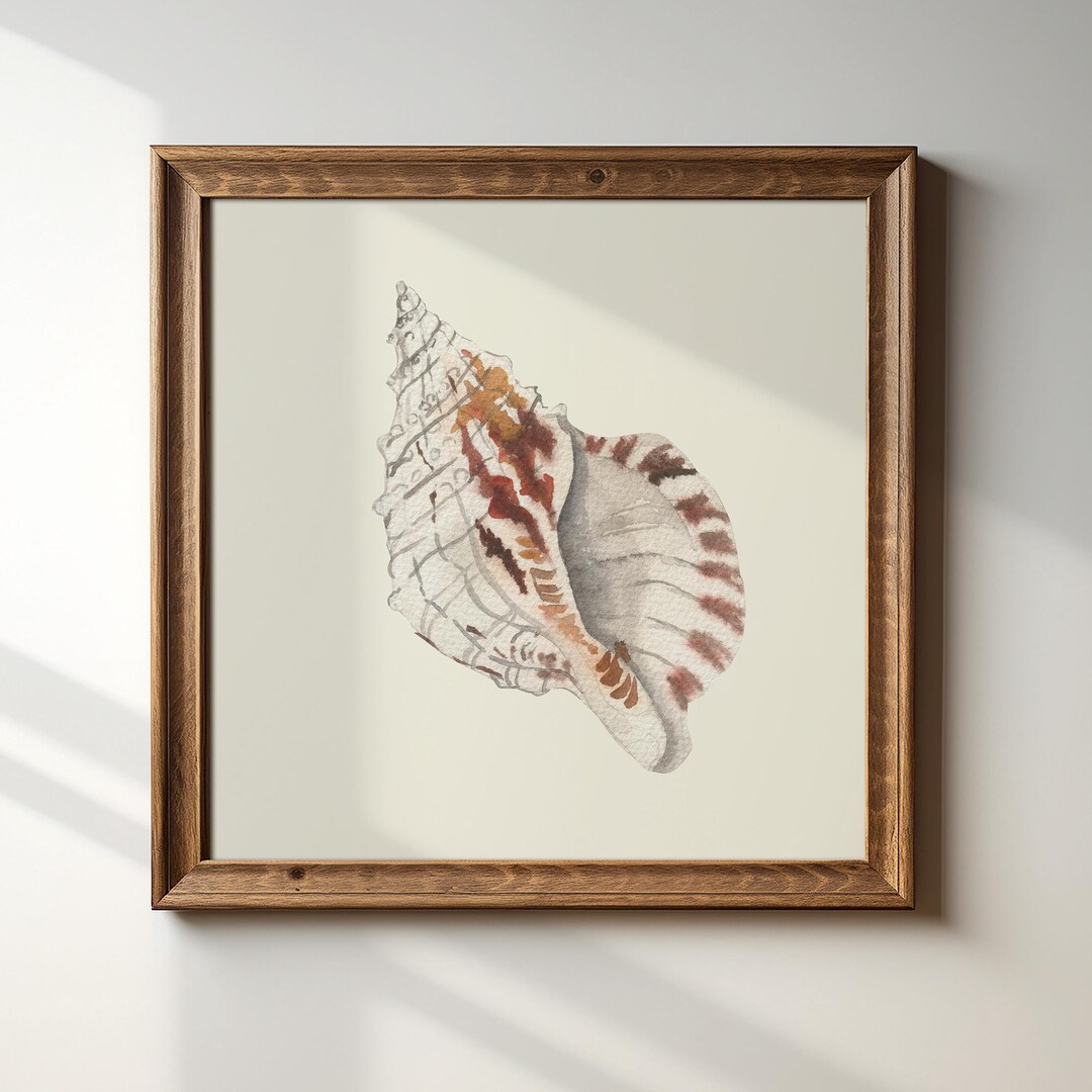 Conch Shell Print: Sweet Cream Coastal Wall Art, Digital Download, Art ...