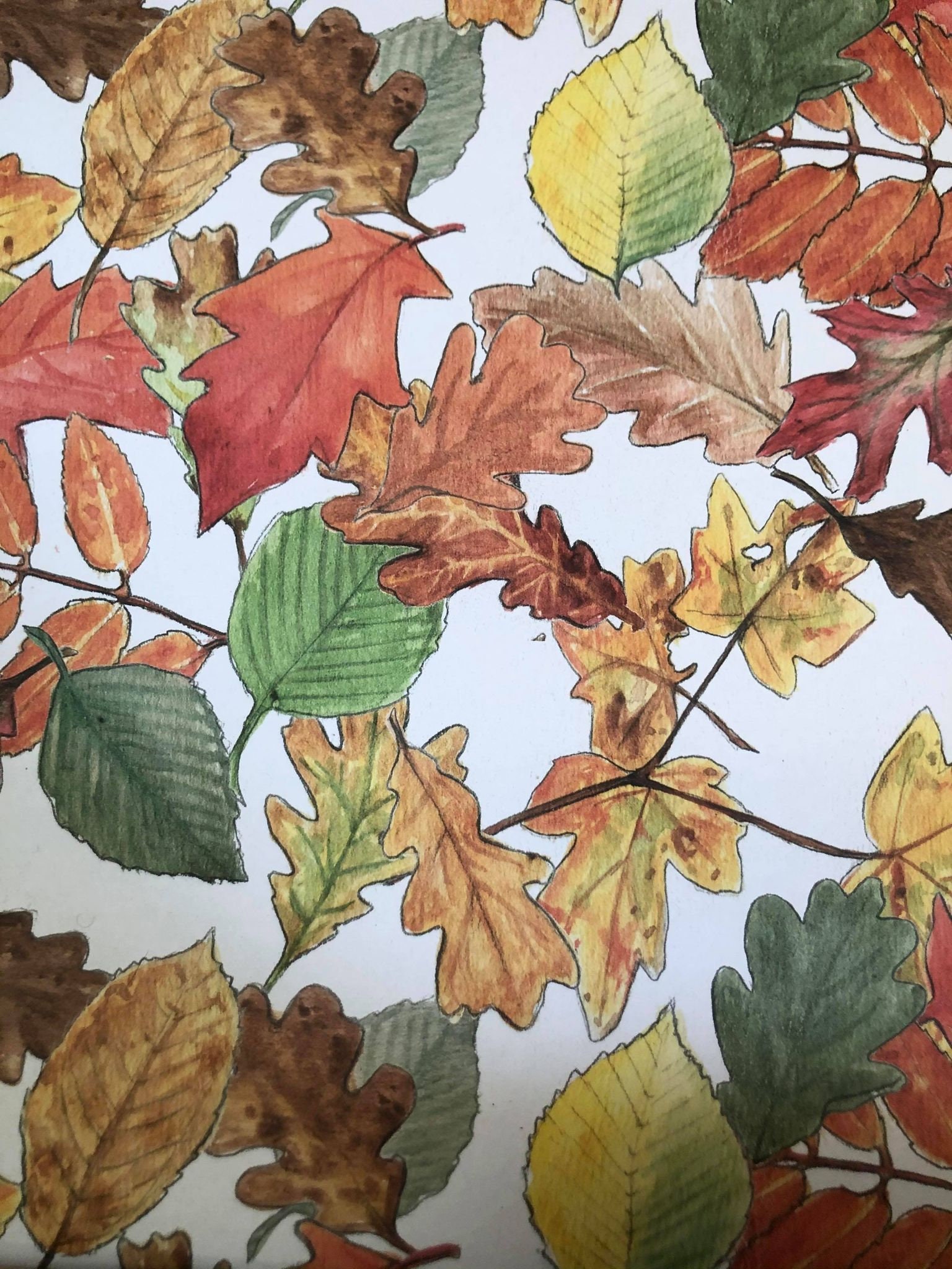 Autumn Leaves Wrapping Paper Eco Wrapping Paper Etsy autumn-leaves-wrapping-paper-eco-wrapping-paper-etsy