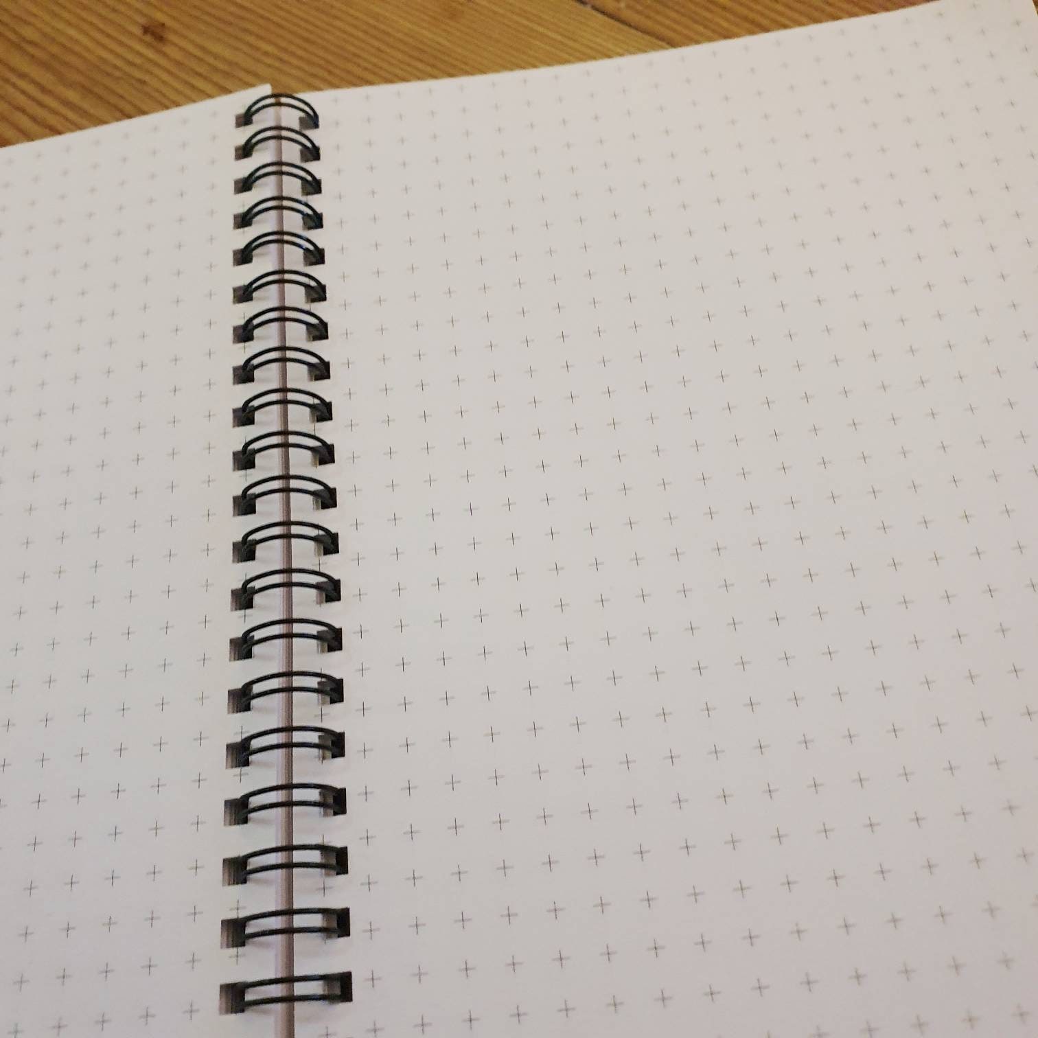 Memento Mori Skull Notebook A5 Spiral Note Book Journal Gothic | Etsy