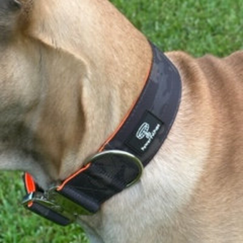 Big Collar - Etsy
