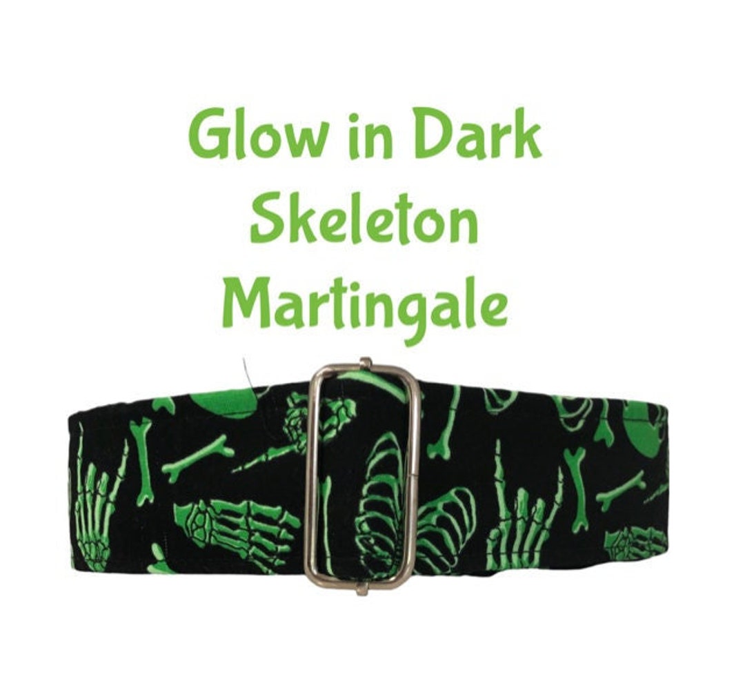 Glow in Dark Skeleton Martingale Dog Collar| Halloween| Extra Large ...