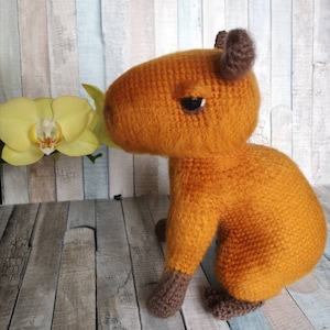 Pattern Crochet Capybara Daisy - Etsy