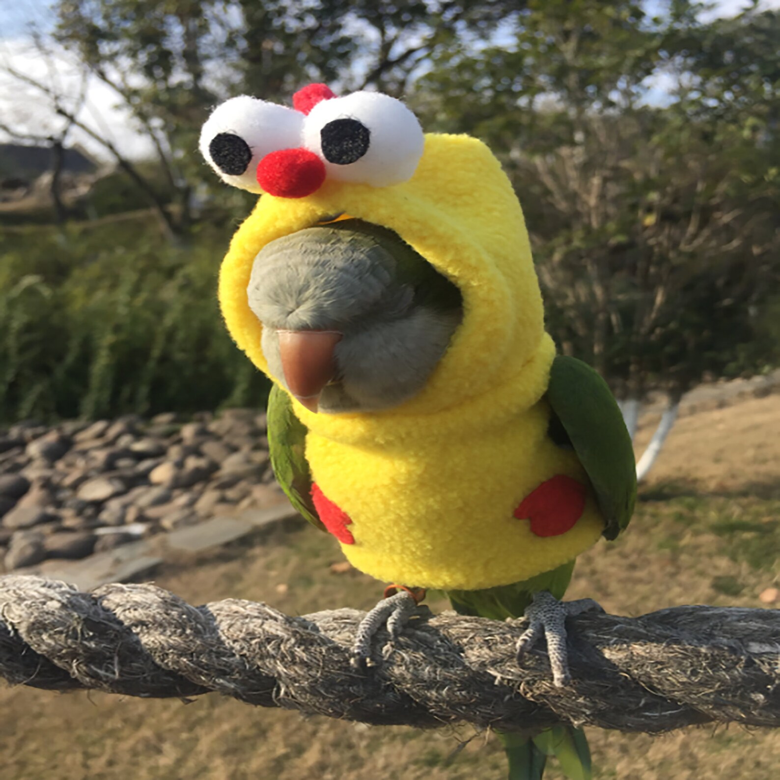 Pet Parrot Bird ClothesParrot Warm and Thickened Flight | Etsy