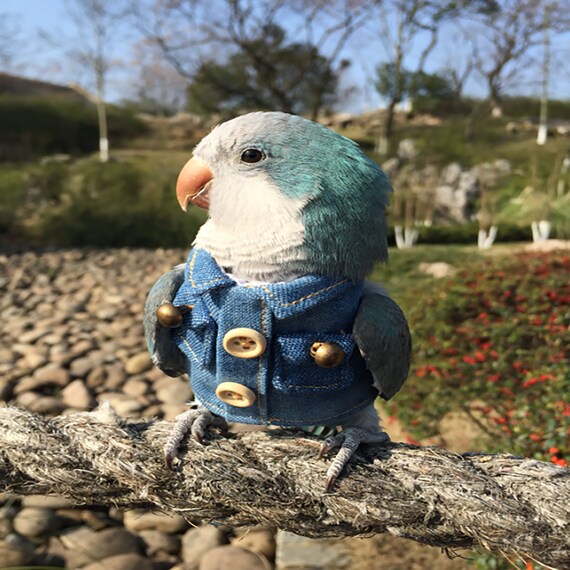 Parrot ClothesParrot Bird ClothesParrot Flight SuitsParrot | Etsy