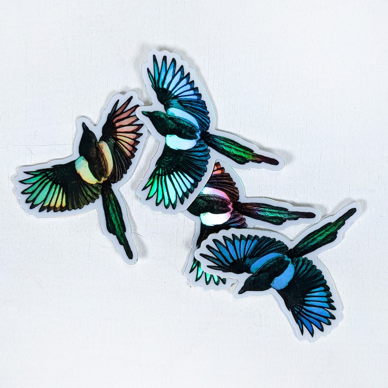 Vinyl Birds - Etsy UK