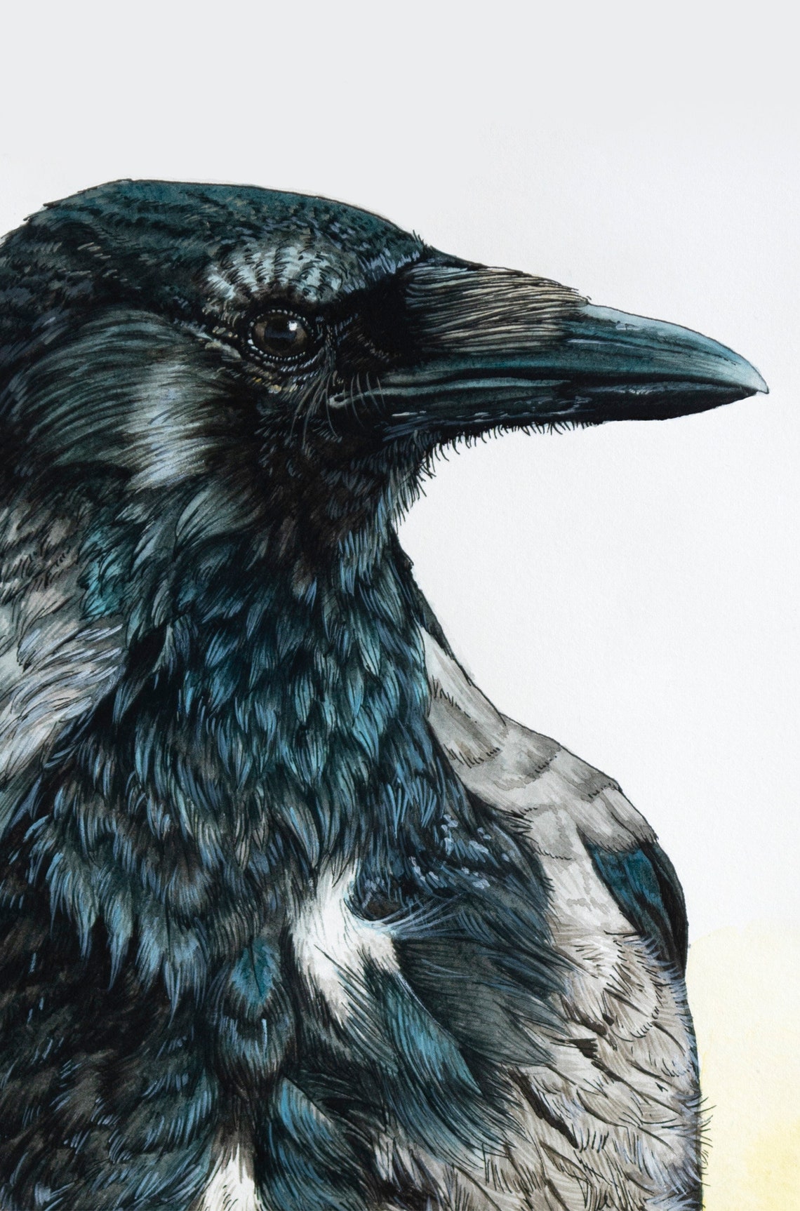 Crow Original Painting Hooded Crow Watercolor Bird Portrait | Etsy