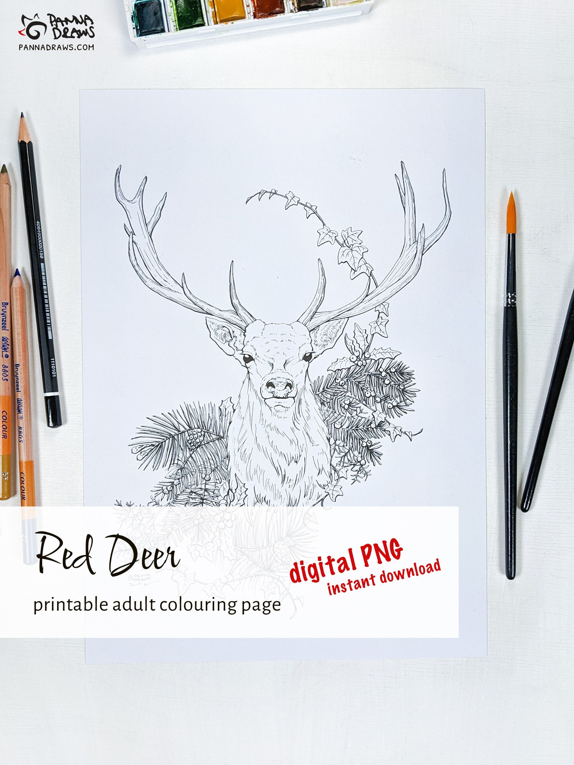 Red Deer Instant Download Printable Adult Coloring Page - Etsy