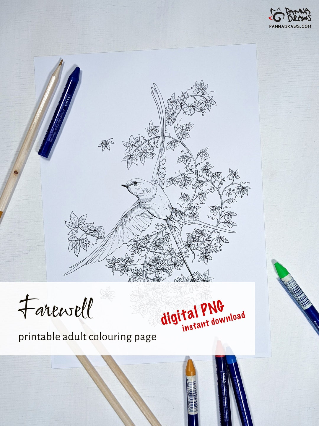 Swallow Adult Coloring Page, Bird Coloring Page, Bird Coloring for ...