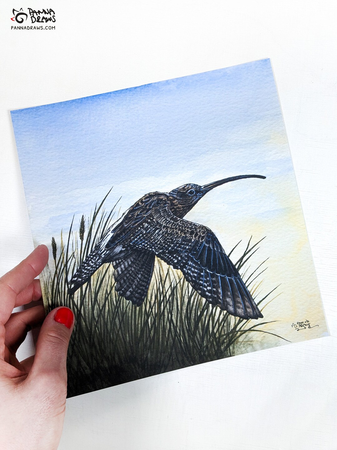 Curlew Irish Bird Art Print - Etsy