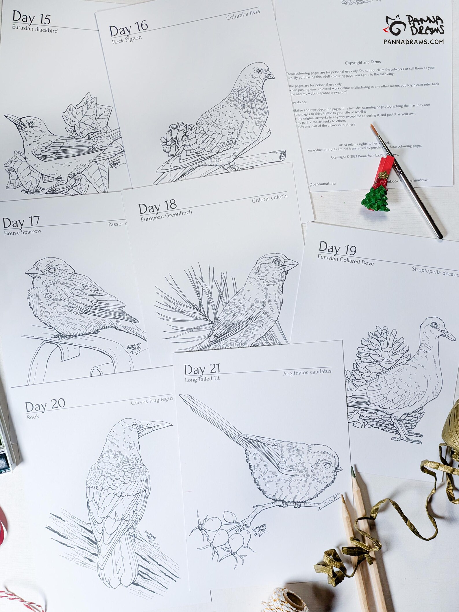 Irish Garden Bird Coloring Advent Calendar | Watercolor Bird Coloring ...