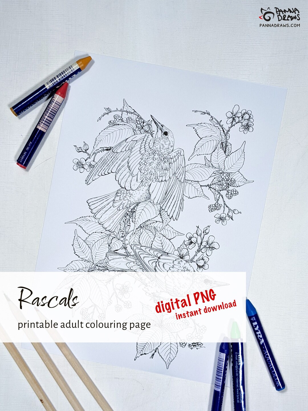 Starlings Adult Coloring Page, Garden Bird Coloring for Adults, Floral ...