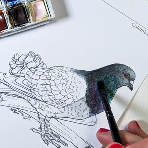 Irish Garden Bird Coloring Advent Calendar | Watercolor Bird Coloring ...