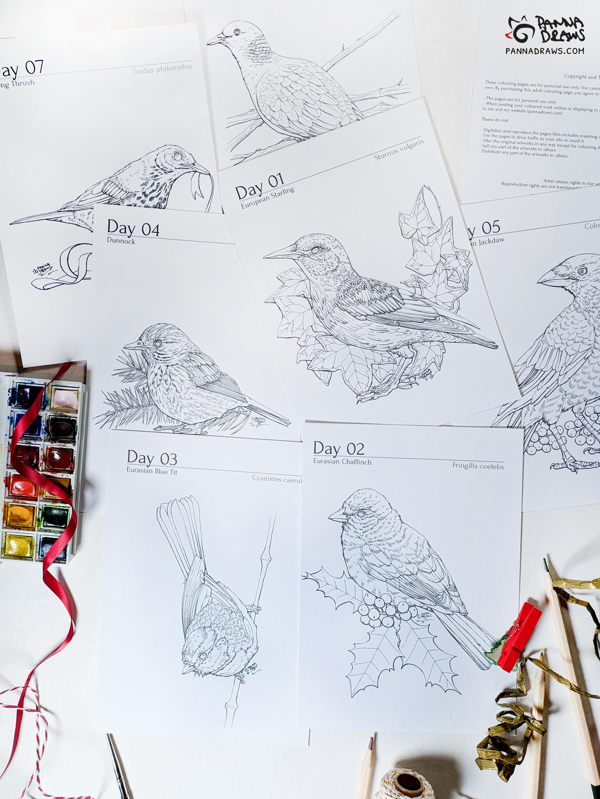 Irish Garden Bird Coloring Advent Calendar | Watercolor Bird Coloring ...