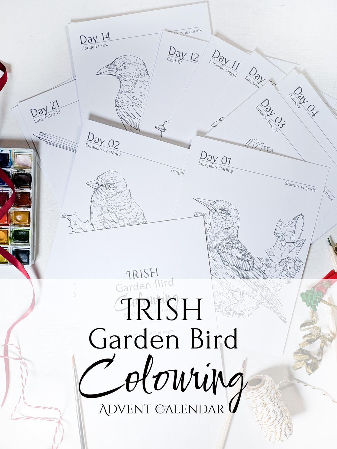 Irish Garden Bird Coloring Advent Calendar | Watercolor Bird Coloring ...
