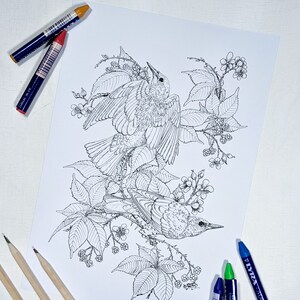 Starlings Adult Coloring Page, Garden Bird Coloring for Adults, Floral ...