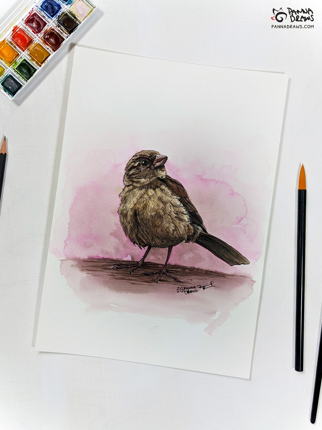 Original Watercolor Sparrow Painting: Irish Bird Art - Etsy