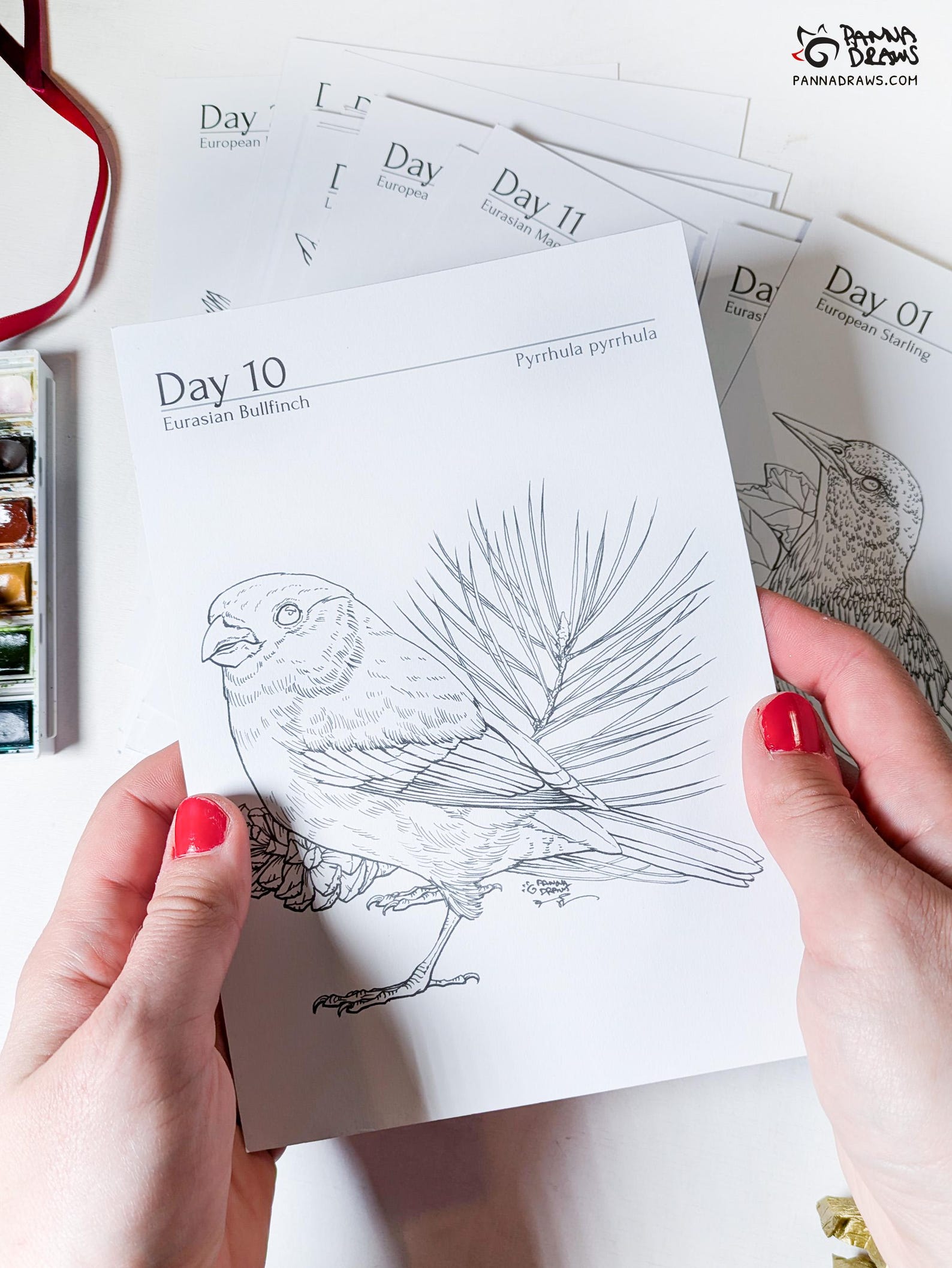 Irish Garden Bird Coloring Advent Calendar | Watercolor Bird Coloring ...