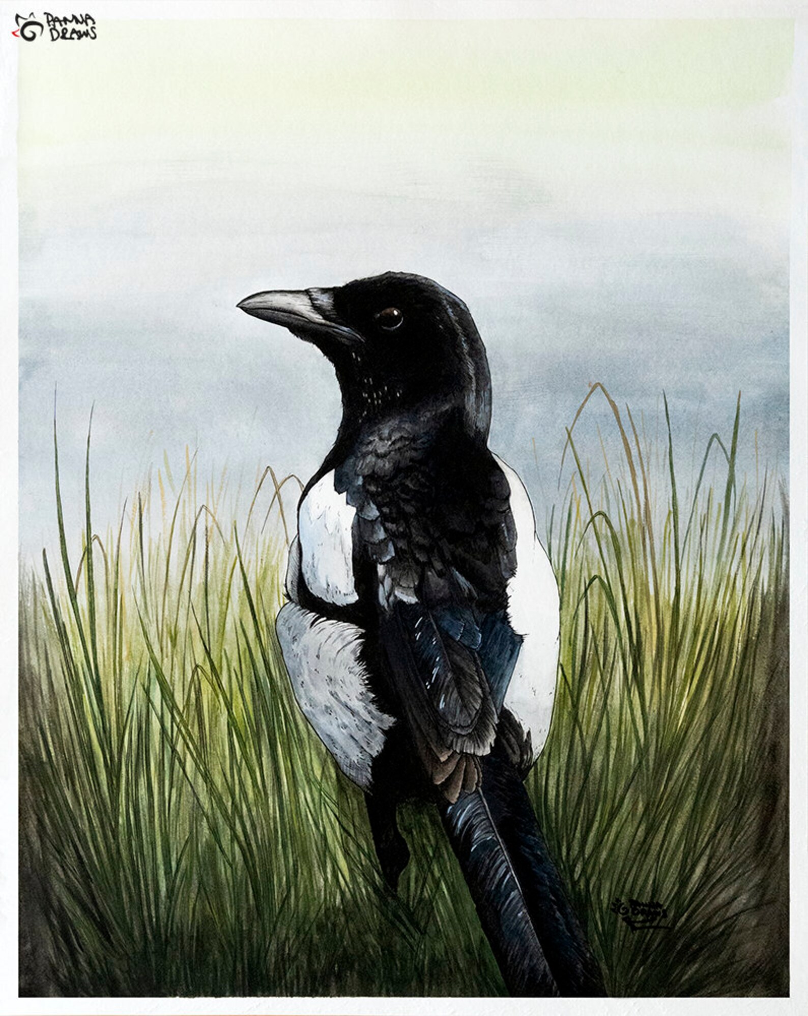 Magpie Print, Irish Bird Watercolor Art Print, Garden Bird Print of ...