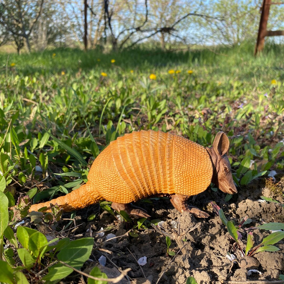 Armadillo Armadillo Figurine Wood Carved Animal Armadillo Statue Texas ...