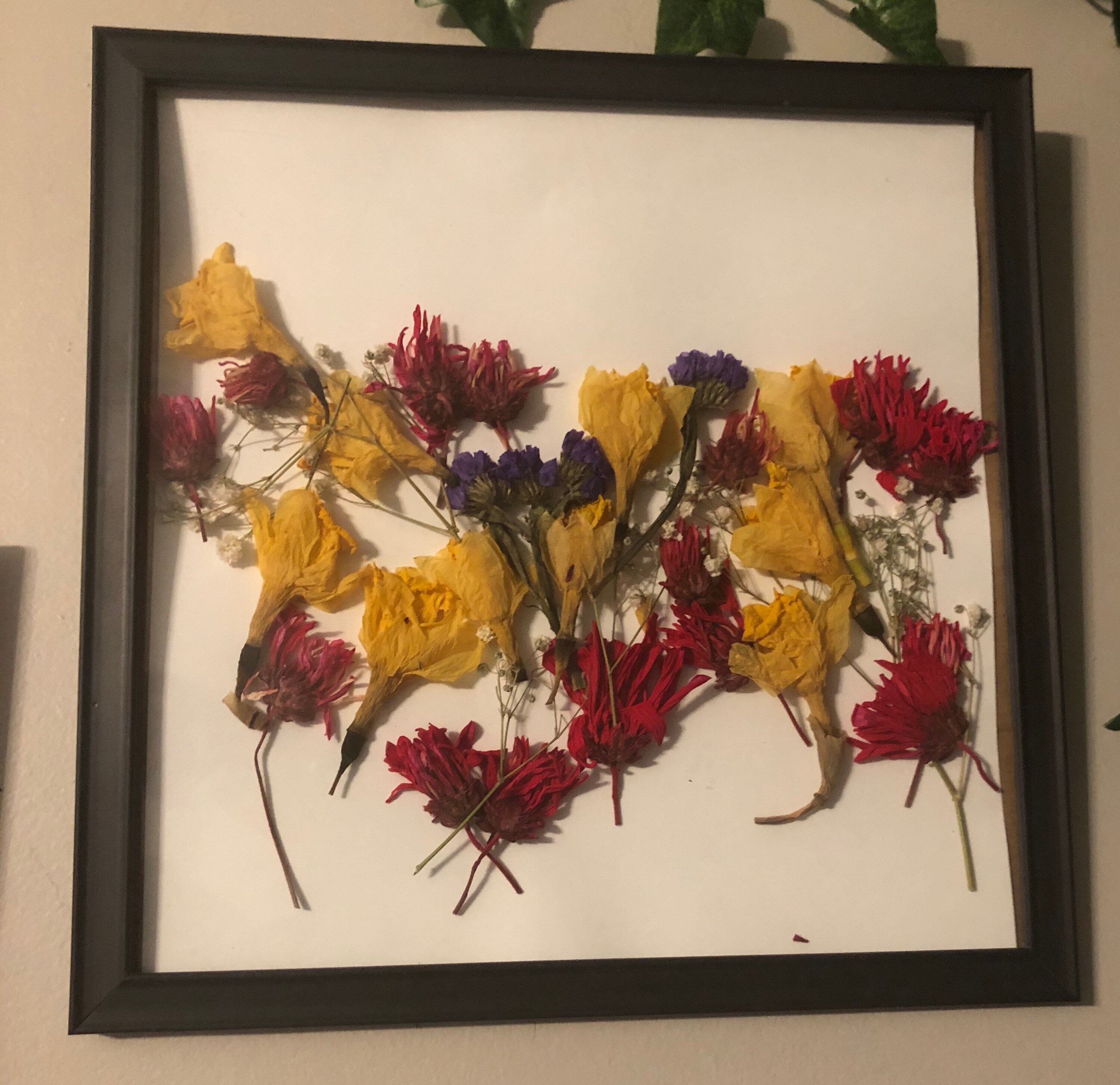 Dried Flower Frame - Etsy