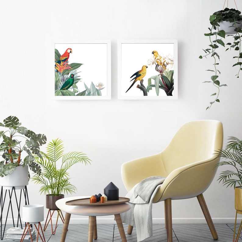 Tropical Bird Prints Exotic Birds Parrot Print Tropical - Etsy Australia