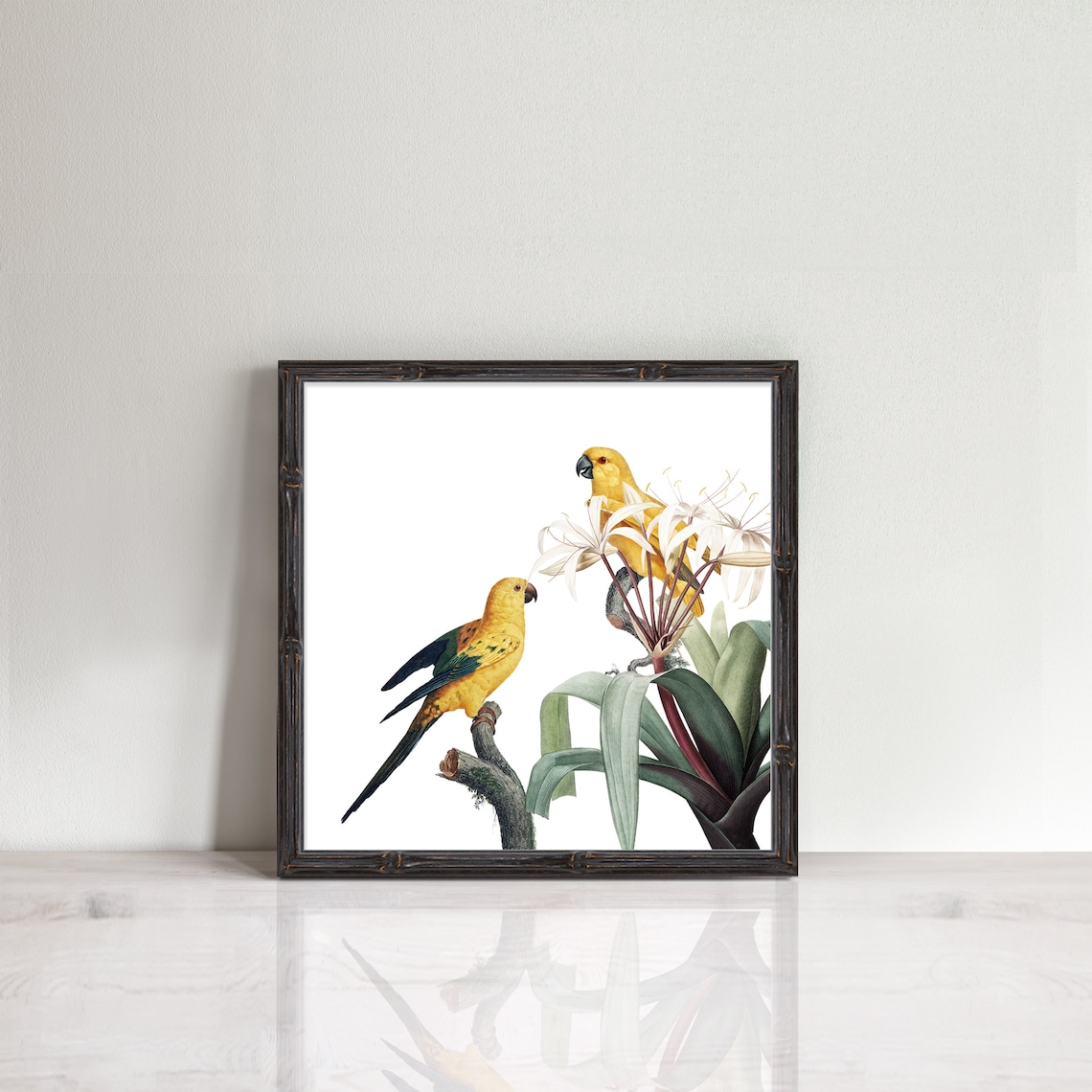 Tropical Bird Prints Exotic Birds Parrot Print Tropical - Etsy Australia