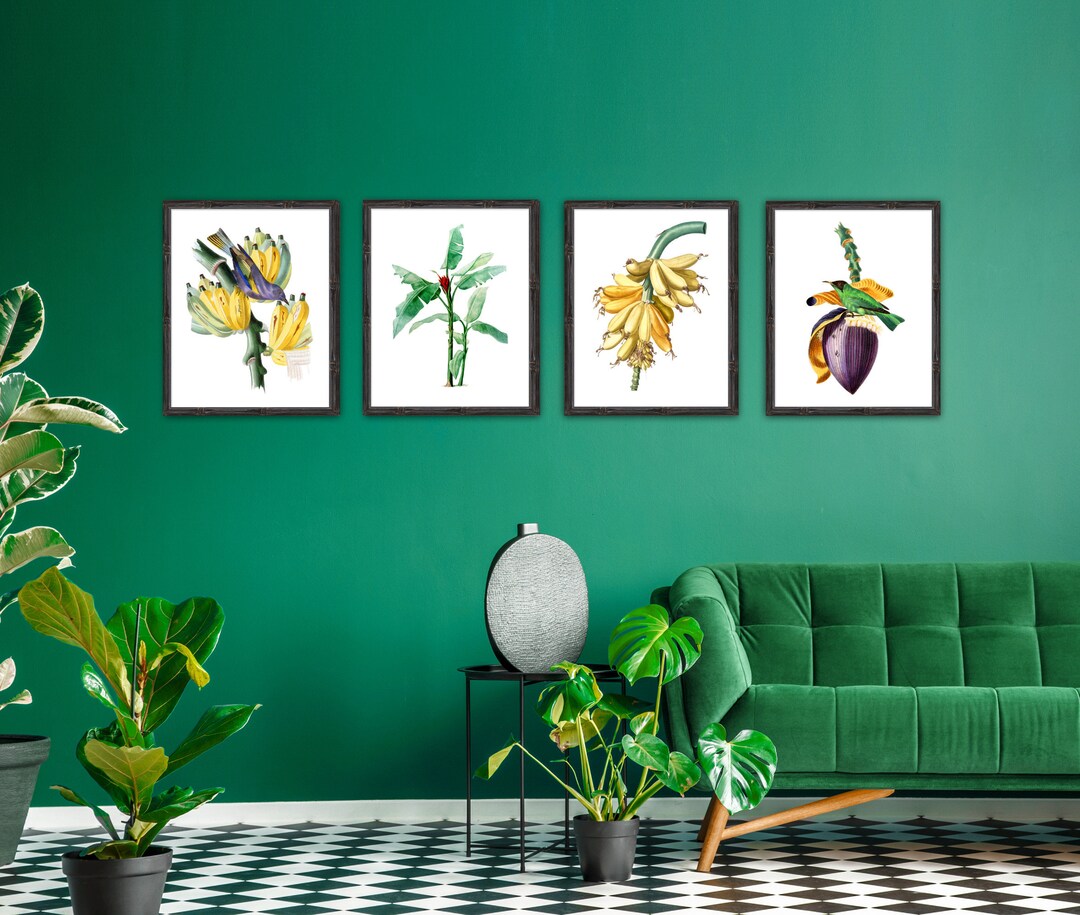 Banana Prints and Bird Art - Botanical Illustrations Vintage ...